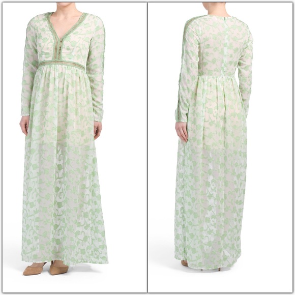 re:named | Dresses | Renamed Floral Burnout Chiffon Maxi Dress Sz S ...